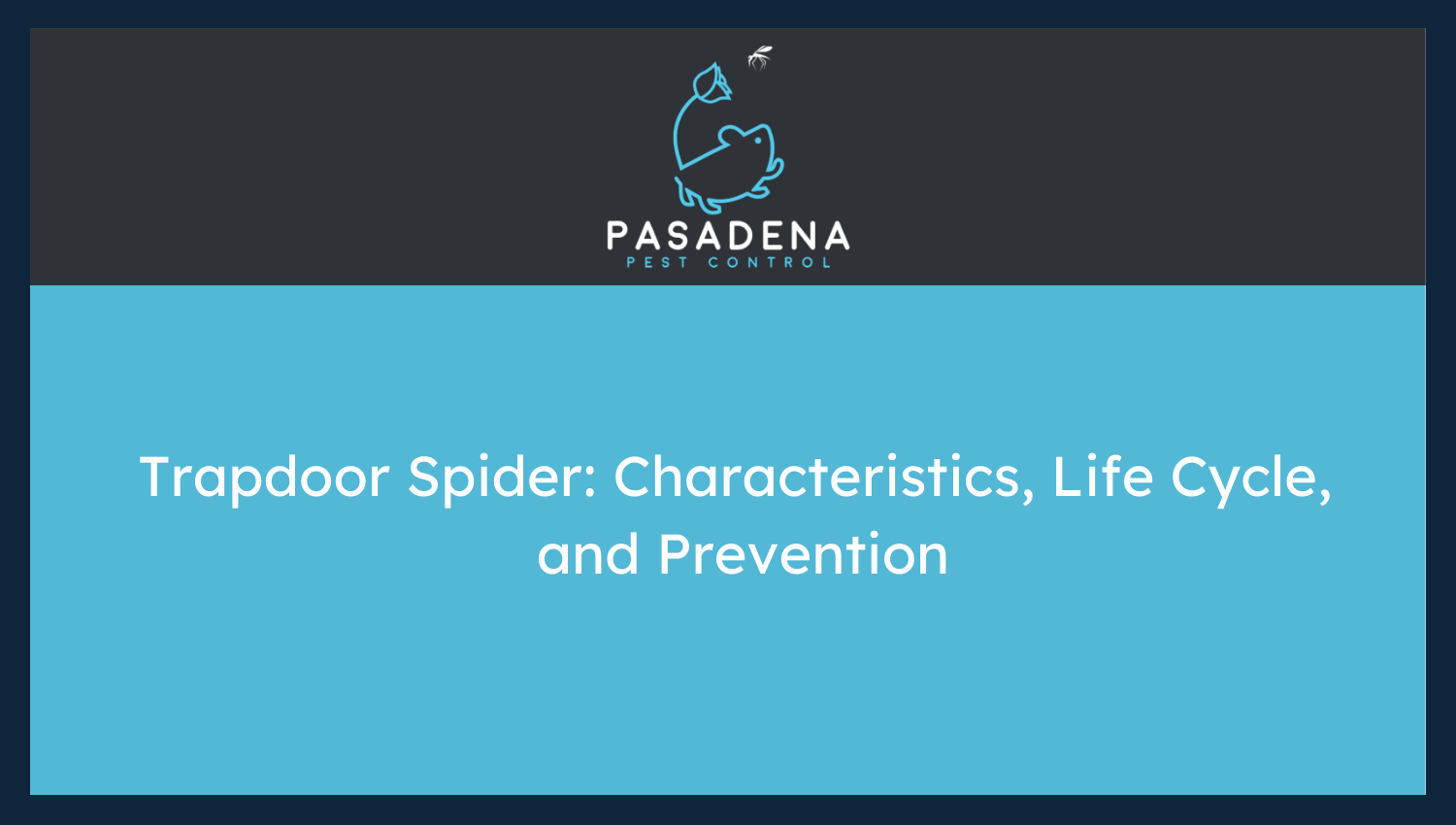 Trapdoor Spider: Characteristics, Life Cycle, and Prevention